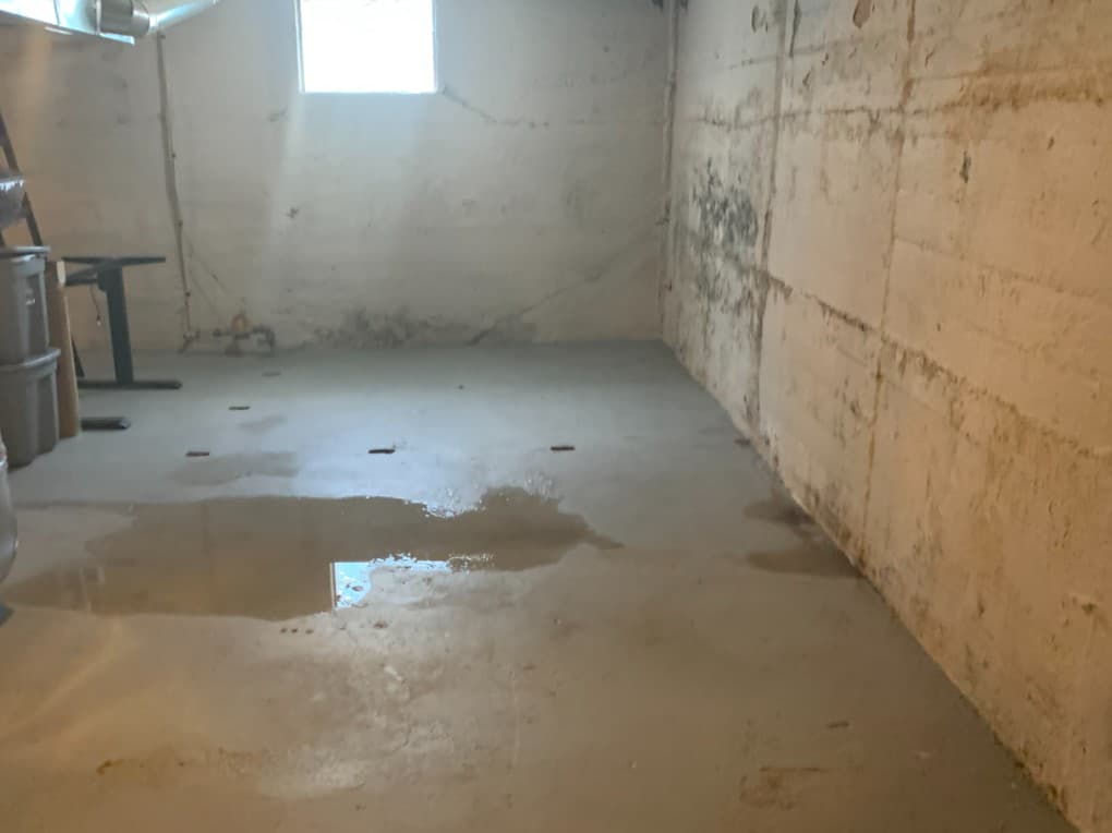 Guide to Basement Drainage Systems - Budget Dry Waterproofing